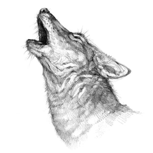 Predators Original Oil Paintings | Ryan Kirby Wildlife and Hunting Art